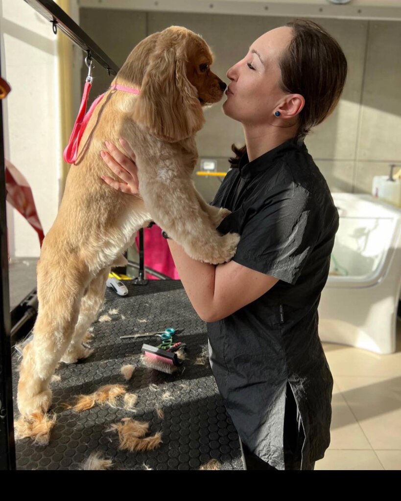 Evcil hayvan kuaförleri GroomBar, Tomsk, foto