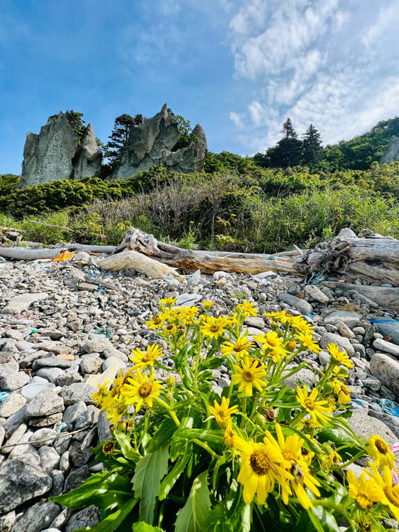 Seyir terası Observation deck, Sahalin Bölgesi, foto