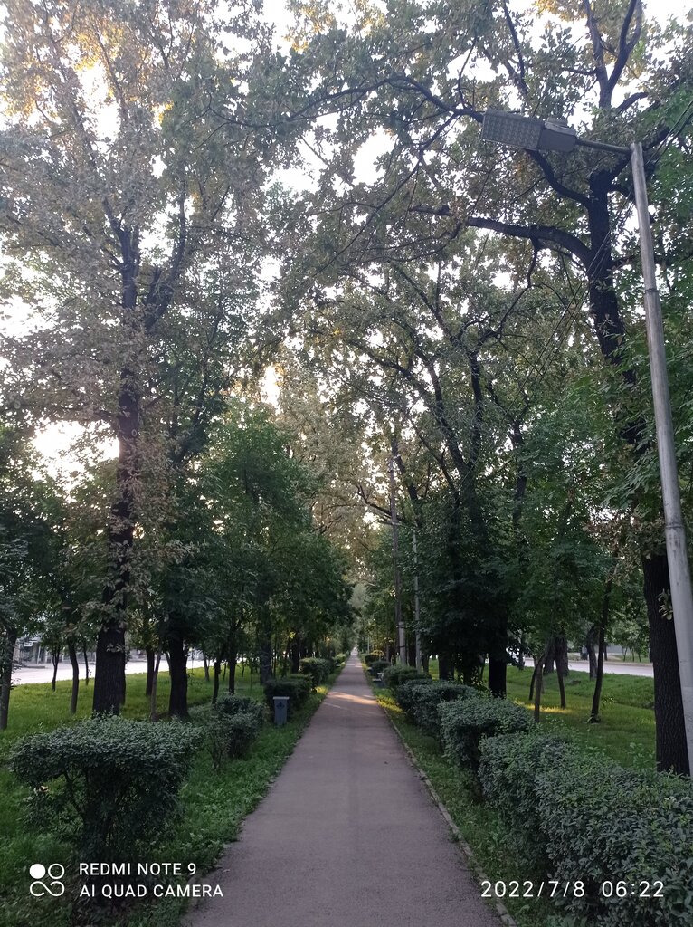 Kültür ve eğlence parkları Abay Oak Alley, Almatı, foto