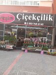 Yeşim Çiçekçilik (Balıkesir, Altıeylül, Anafartalar Cad., 82/C), çiçekçiler  Balıkesir'den