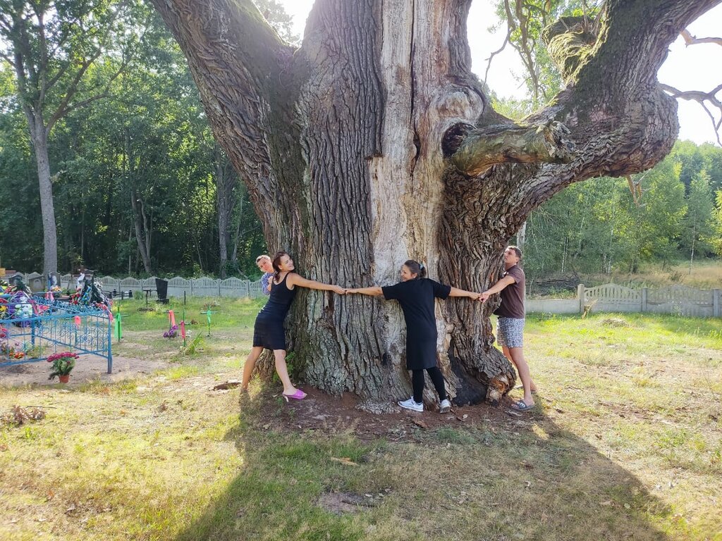 Resort oteller, tesisler Агроусадьба Бобровичи, Brestskaya oblastı, foto