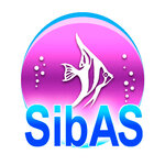 SibAS Siberian Aquarium-Servis (ulitsa Rokossovskogo No:15), akvaryumlar  Krasnoyarsk'tan
