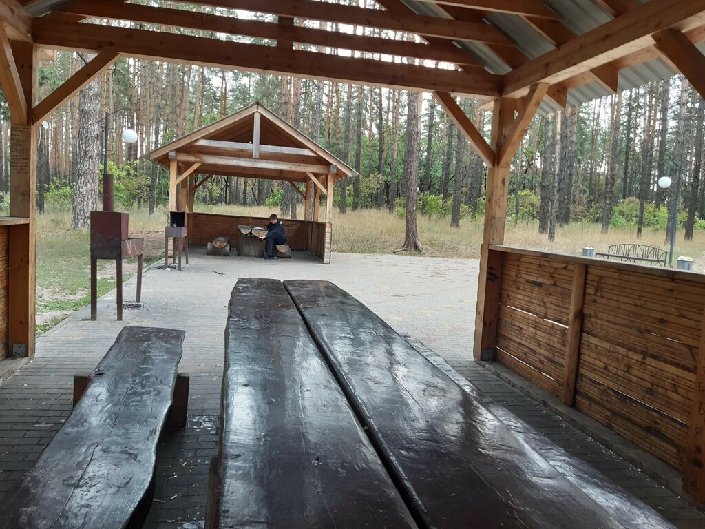 Piknik alanı Место для пикника, Voronejskaya oblastı, foto