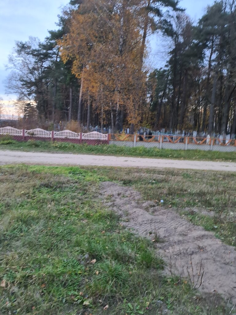 Mezarlıklar могілкі Ручыца, Minskaya oblastı, foto