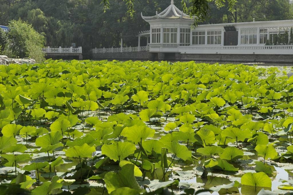 Otel Ningwozhuang Hotel - Lanzhou, Lanzhou, foto