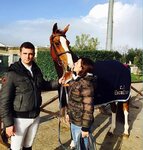 Excalibur Equestrian Centre - Scuola pony Equitazione (Lazio, Roma, Via della Tenuta di San Cesario, 61), evcil hayvan yetiştiricileri  Lazio'dan