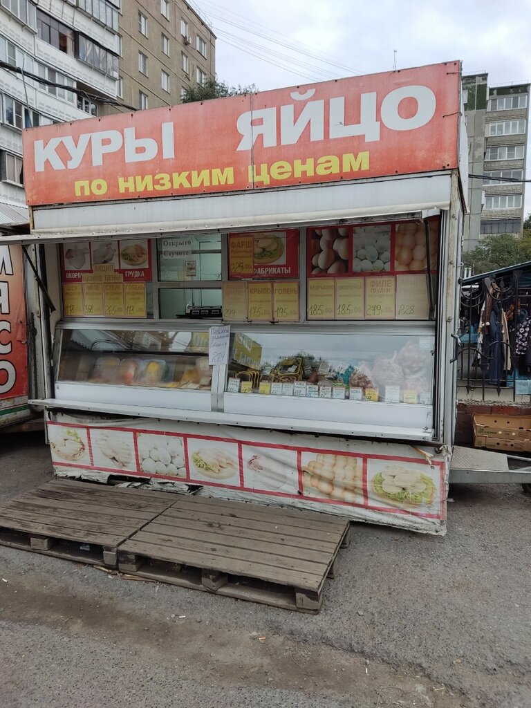 Kanatlı hayvan ürünleri ve yumurta Яйцо, Çeliabinsk, foto