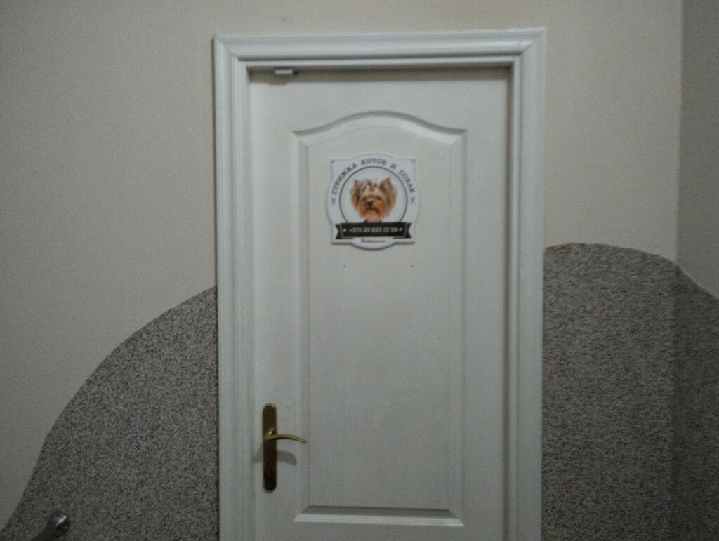 Evcil hayvan kuaförleri Груминг Стрижка собак и котов, Brest, foto