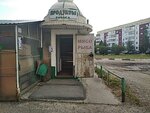 Луна (ulitsa Mechnikova No:4), market  Surgut'tan