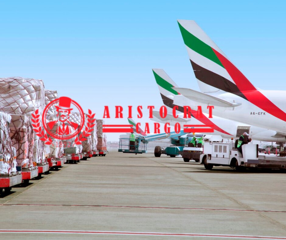Gümrük hizmetleri Aristocrat Cargo, Domodedovo, foto