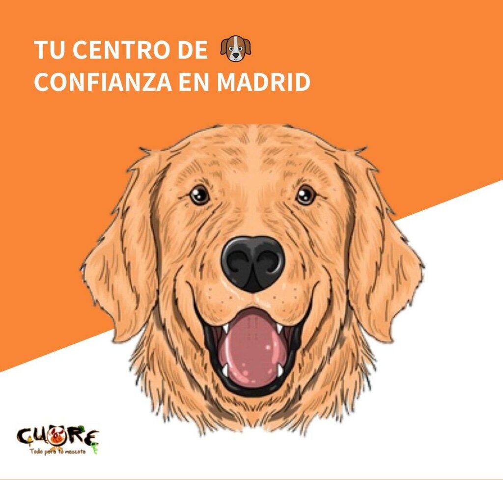 Evcil hayvan kuaförleri Cuore Todo Para Tu Mascota, Madrid, foto