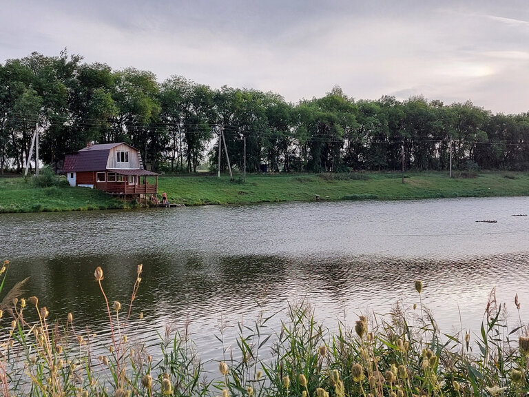 Resort oteller, tesisler Дом отдыха, Voronejskaya oblastı, foto