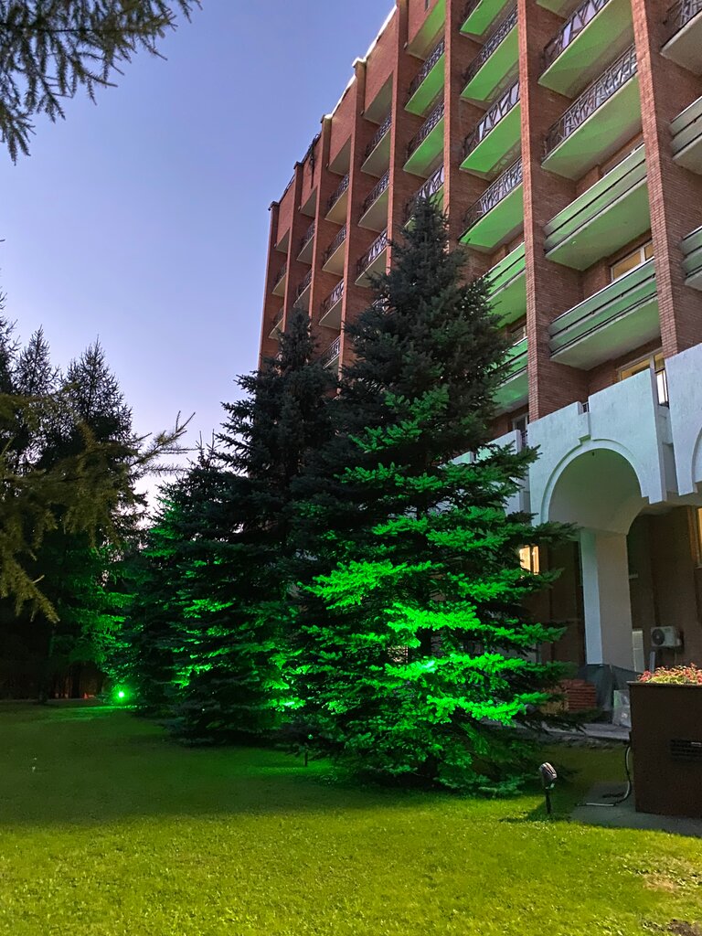 Otel Bed and Breakfast in Pine forest, Tümen (Tiumenskaya) oblastı, foto