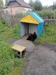 Spring, stream (Kemerovo, Dokhodnaya ulitsa), pınar, çay  Kemerovo'dan
