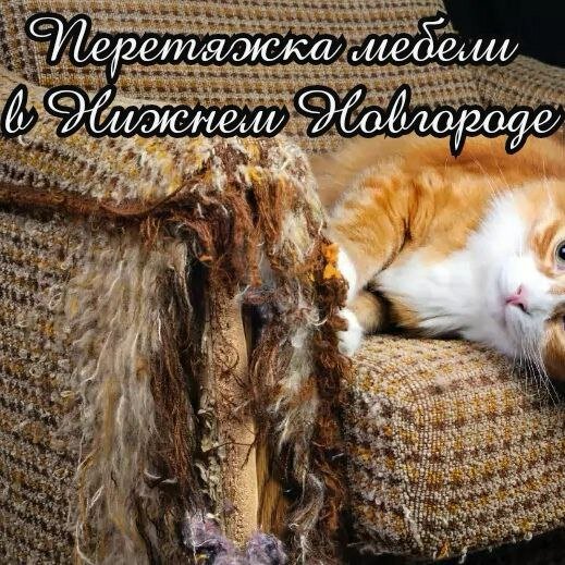 Mobilya tamir, tadilat Divan 152 NN, Nijni Novgorod, foto