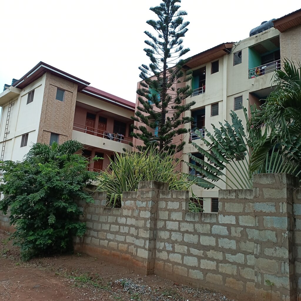 Pansiyonlar, hosteller Bani Hostel, Akra, foto