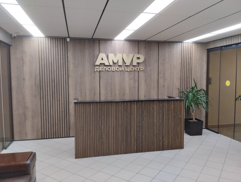 Firma açılışı ve tasfiye işlemleri Amyr, Habarovsk, foto