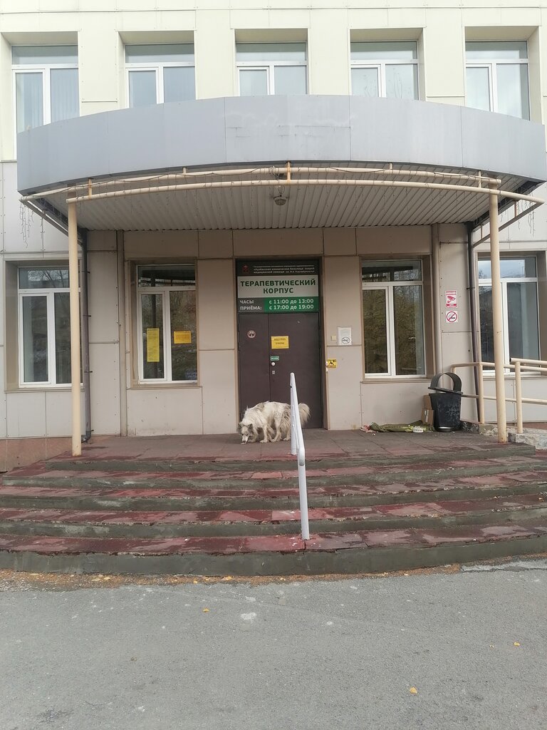 Hastaneler Kuzbass Clinical Hospital of Emergency medical care named after M.A.Podgorbunsky, Kemerovo, foto