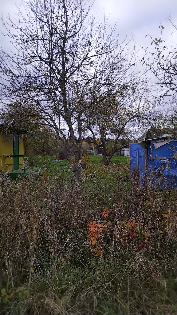 Bahçecilik dernekleri ve kuruluşları Sadovodcheskoye tovarishchestvo Plisyanka, Minskaya oblastı, foto
