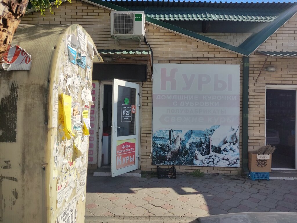 Kanatlı hayvan ürünleri ve yumurta Куры, Stavropolski krayı, foto