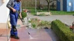 Limpia Pulizie (Via Battisti No:9, Albenga), haşere ilaçlama firmaları  Albenga'dan