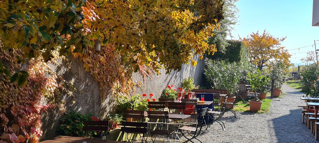 Şarap ve içki toptan satışları Weinbau und Heuriger Wiltschko, Viyana, foto