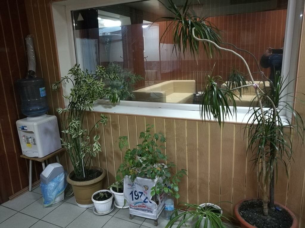 Detaylı oto bakımı Чистофф, Troitsk, foto