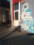 Kaktus flowers (ulitsa 12 Dekabrya No:104А), çiçekçiler  Omsk'tan