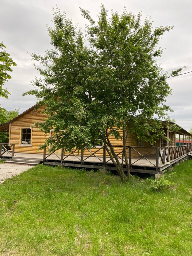 Yaz kampı Orlenok, Lipetsk, foto