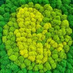 Клинический госпиталь Md Group, отделение лечения бесплодия и планирования семьи (Sevastopolskiy Avenue No:24к1), hastane bölümü  Moskova'dan