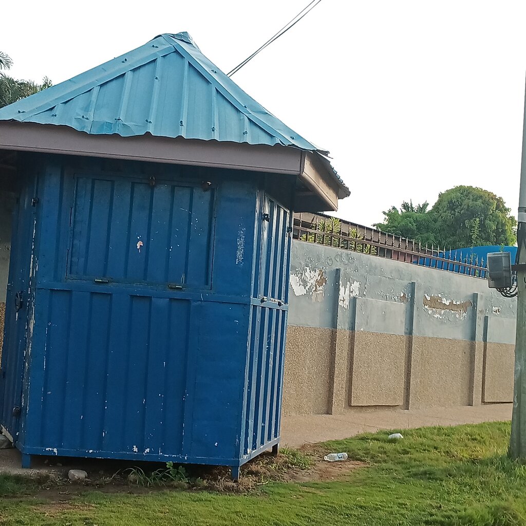 Kuaförler Ernest Hair Cat, Dünya, foto