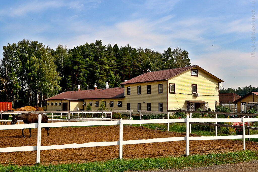 At ve binicilik kulüpleri Vian, Moskova ve Moskovskaya oblastı, foto