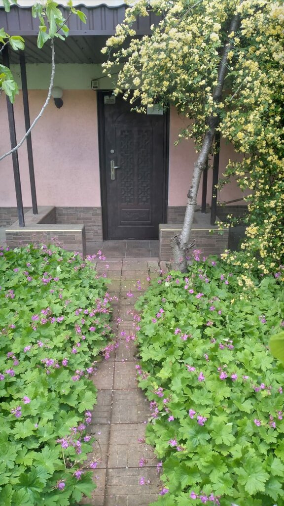 Otel Фрея, Yalta, foto