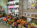 Magnolia (Belomorskiy prospekt No:52), çiçekçiler  Severodvinsk'ten