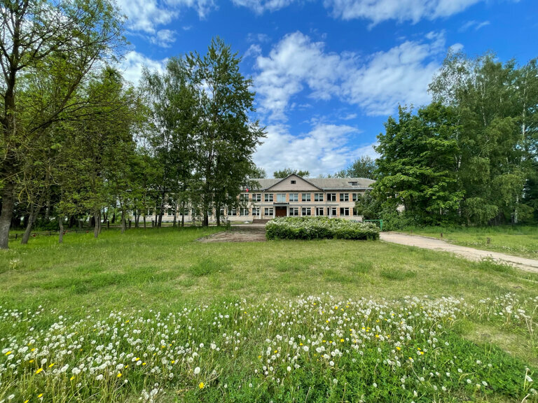 Ortaokul Vyazyevskaya Osnovnaya Obshcheobrazovatelnaya shkola, Pskovskaya oblastı, foto