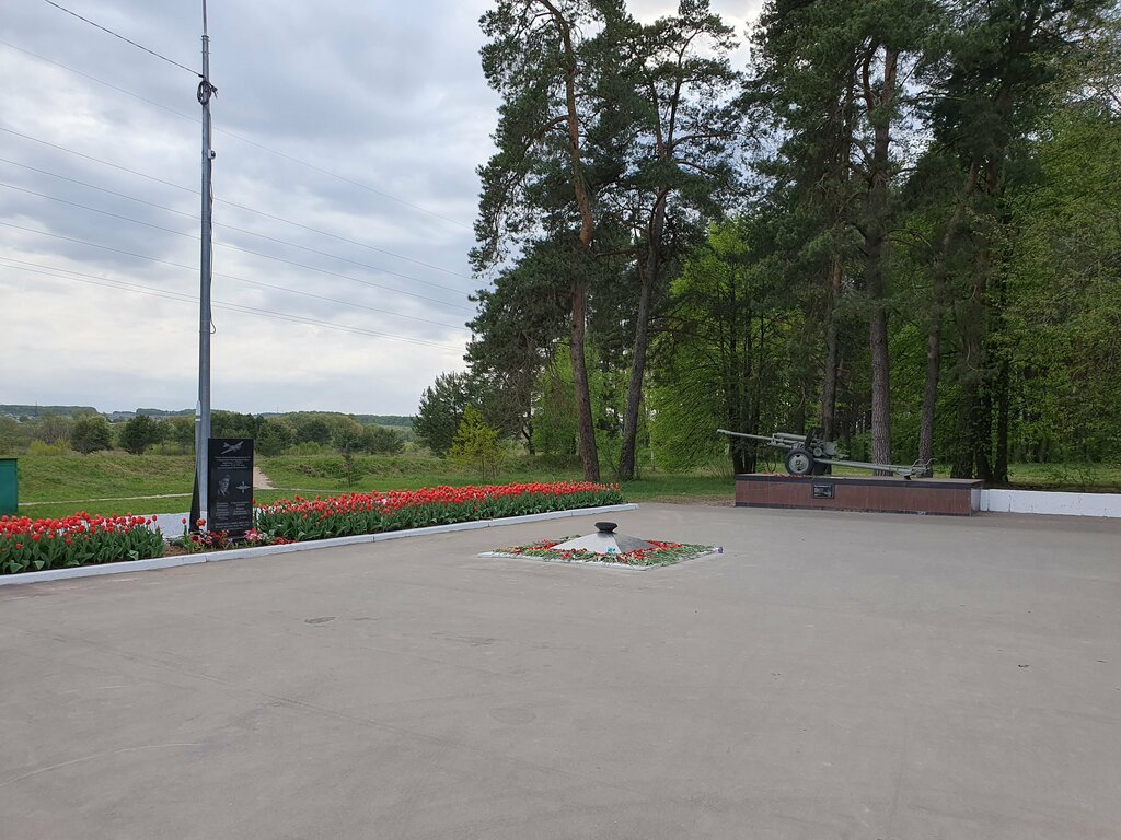 Teknoloji anıtı 76-мм дивизионная пушка ЗиС-3 образца 1942 г., Protvino, foto