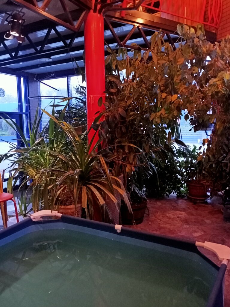 Çocuk mağazaları Magazin Yelesey, Volgograd, foto