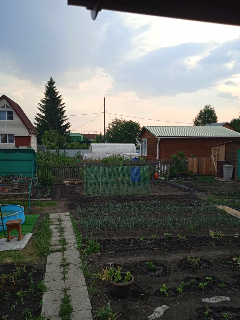 Bahçecilik dernekleri ve kuruluşları Стсн Ласточка, Novosibirskaya oblastı, foto
