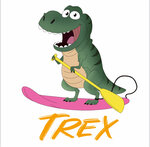 TRex (Leningradskaya ulitsa No:51), kürek sörfü  Vologda'dan
