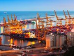 Trans Vision Sea Shipping Lines Agent (122, Khalid Bin Al Waleed Street, Bur Dubai, Dubai), konteyner nakliyatı  Dubai'den