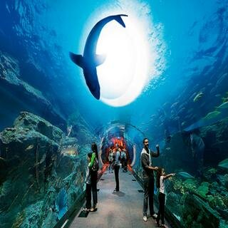 Seyahat acenteleri Life Time Tourism LLC, Dubai, foto