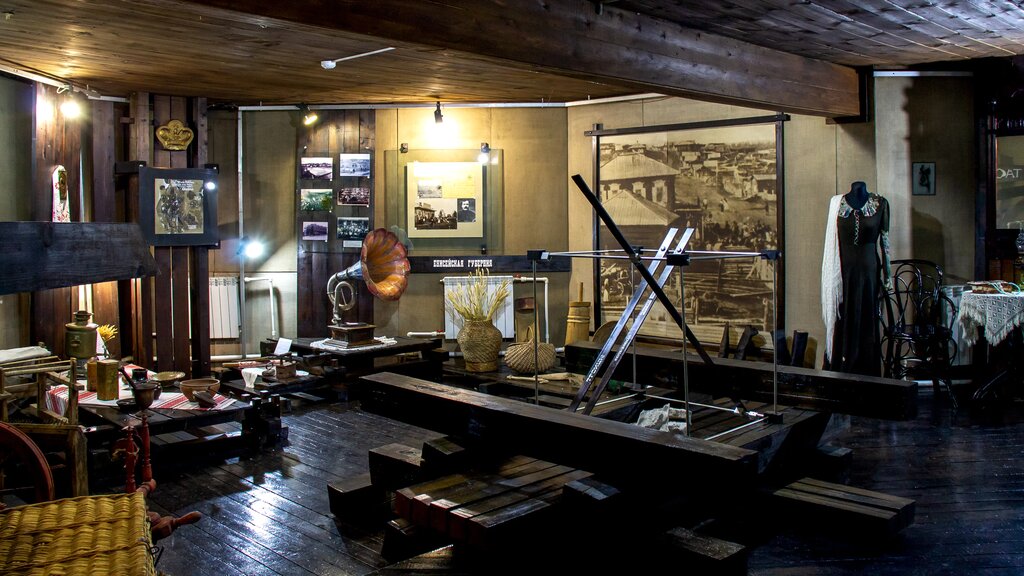 Müzeler ve sanat galerileri Taseyevsky Museum of Local Lore, Krasnoyarski krayı, foto