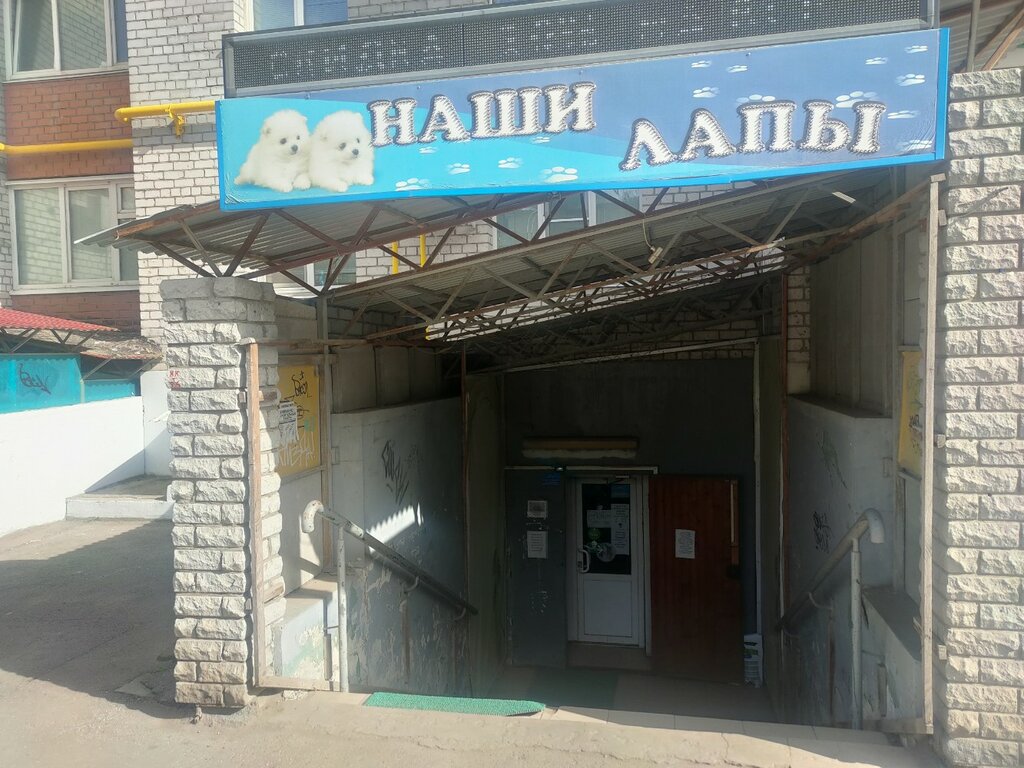 Petshop Zoomagazin Nashi lapy, Riazan, foto