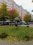Bench (Leningrad Region, Vsevolozhckiy DIstrict, Sertolovo, ulitsa Molodtsova), bank  Sertolovo'dan
