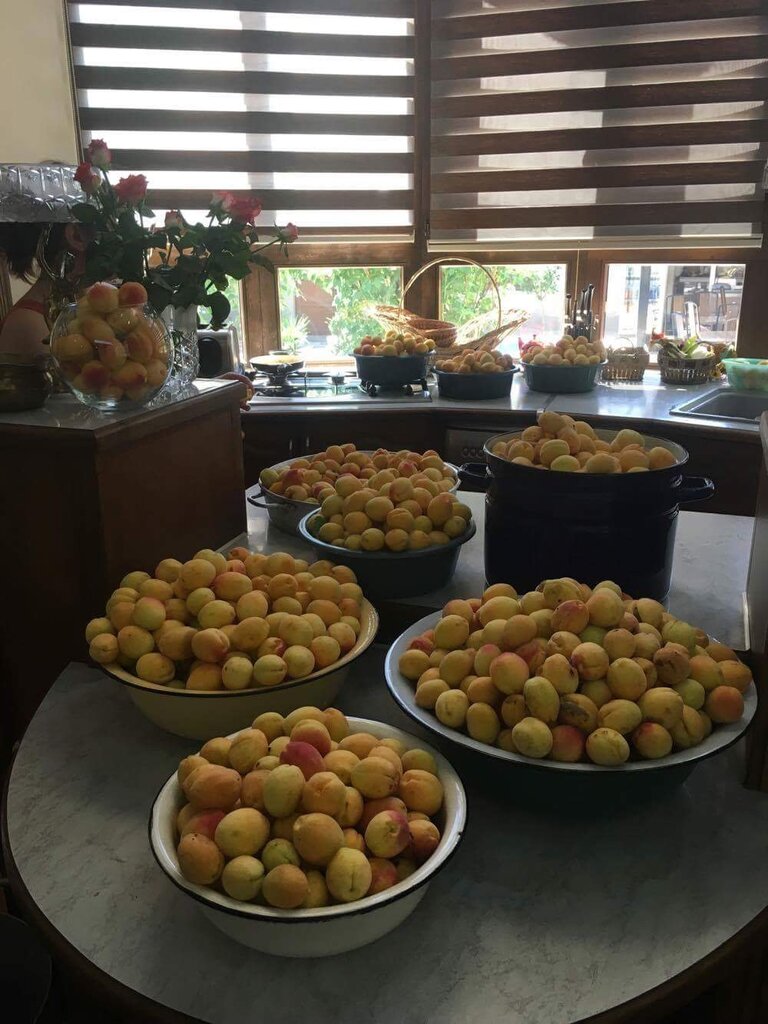 Otel The Ivory House, Erivan, foto