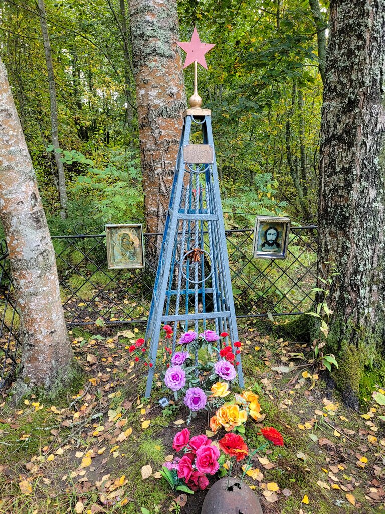 Anıt, heykel Неизвестный солдат, Saint‑Petersburg ve Leningradskaya oblastı, foto