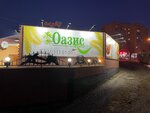 Oazis (ulitsa Shevchenko No:13Г), kafe  Krasnoyarsk'tan