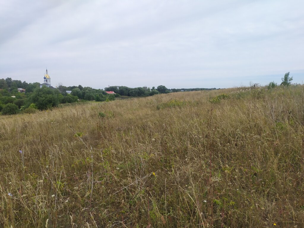 Doğa Болтоусов луг, Suzdal, foto