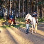 Chastnaya konyushnya Tulpar (Zarechnaya ulitsa No:7, derevnya Pirogovo), at ve binicilik kulüpleri  Udmurtiya'dan