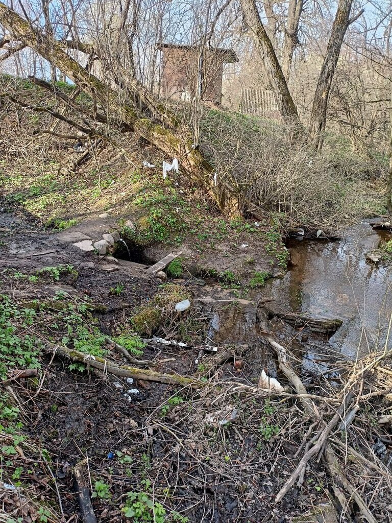 Pınar, çay Spring, stream, Moskova ve Moskovskaya oblastı, foto